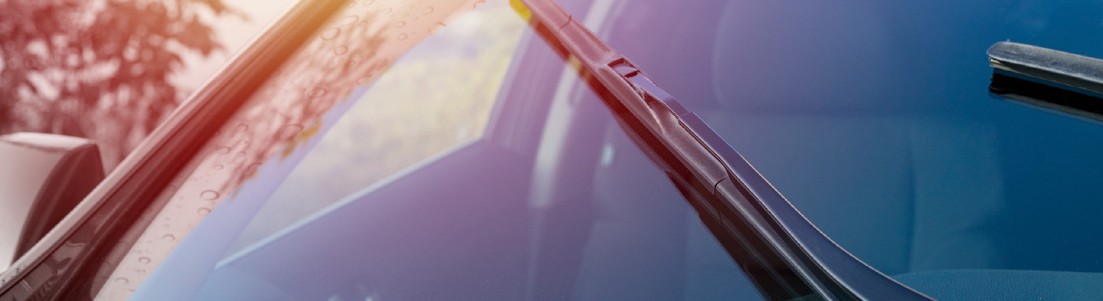 Product Applications for Dealers: Liquid Glass for Windshields